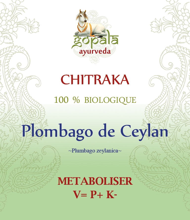 CHITRAKA (Plumbago Zeylanica ) gélules et poudre BIO Gopala Ayurveda ...